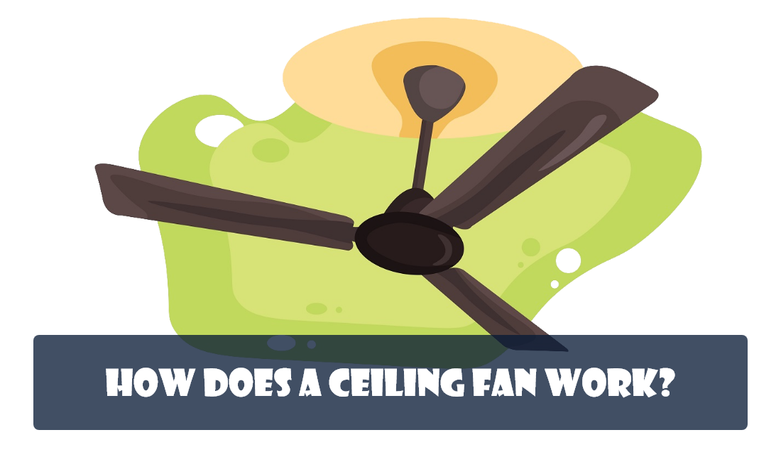 How Does A Ceiling Fan Work? Here’s All You Need To Know